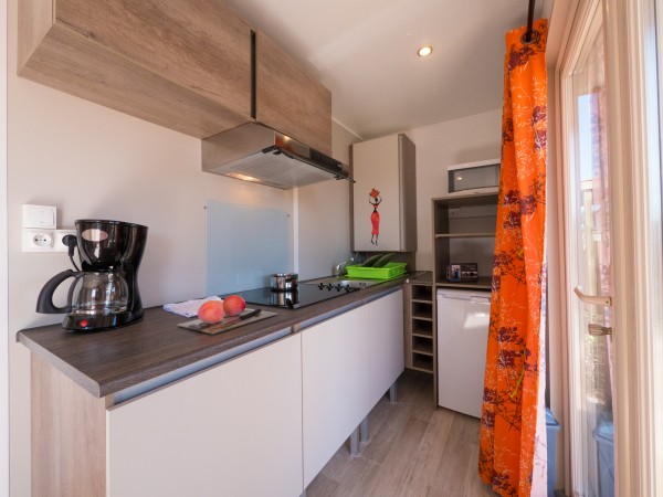 Mobil home 4 personnes 2 chambres climatisé(e) 3 fleurs - Parentis en Born