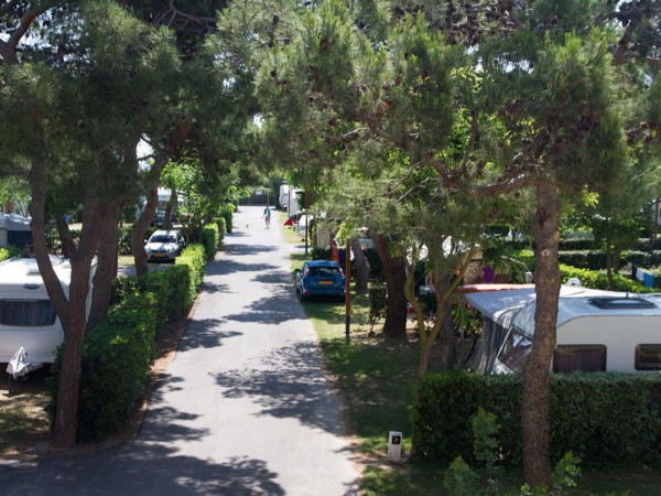 kampeerplaatsen 2 bloemen - Canet-Plage-en-Roussillon