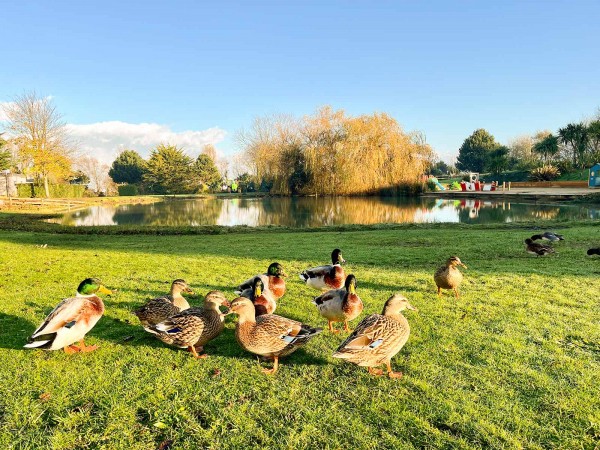 Book a rental unit at the Yelloh! Village Portland campsite, in Normandy