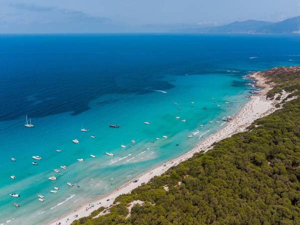 A proximité du camping Corse - Terre d'Oliviers, à Monticello