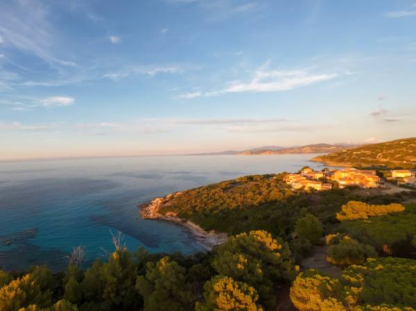 Terre D'oliviers - Haute-Corse