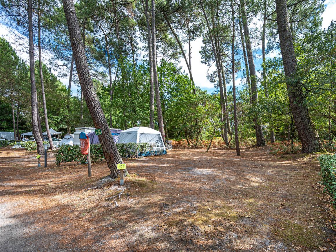 Emplacement camping 3 fleurs - Parentis en Born