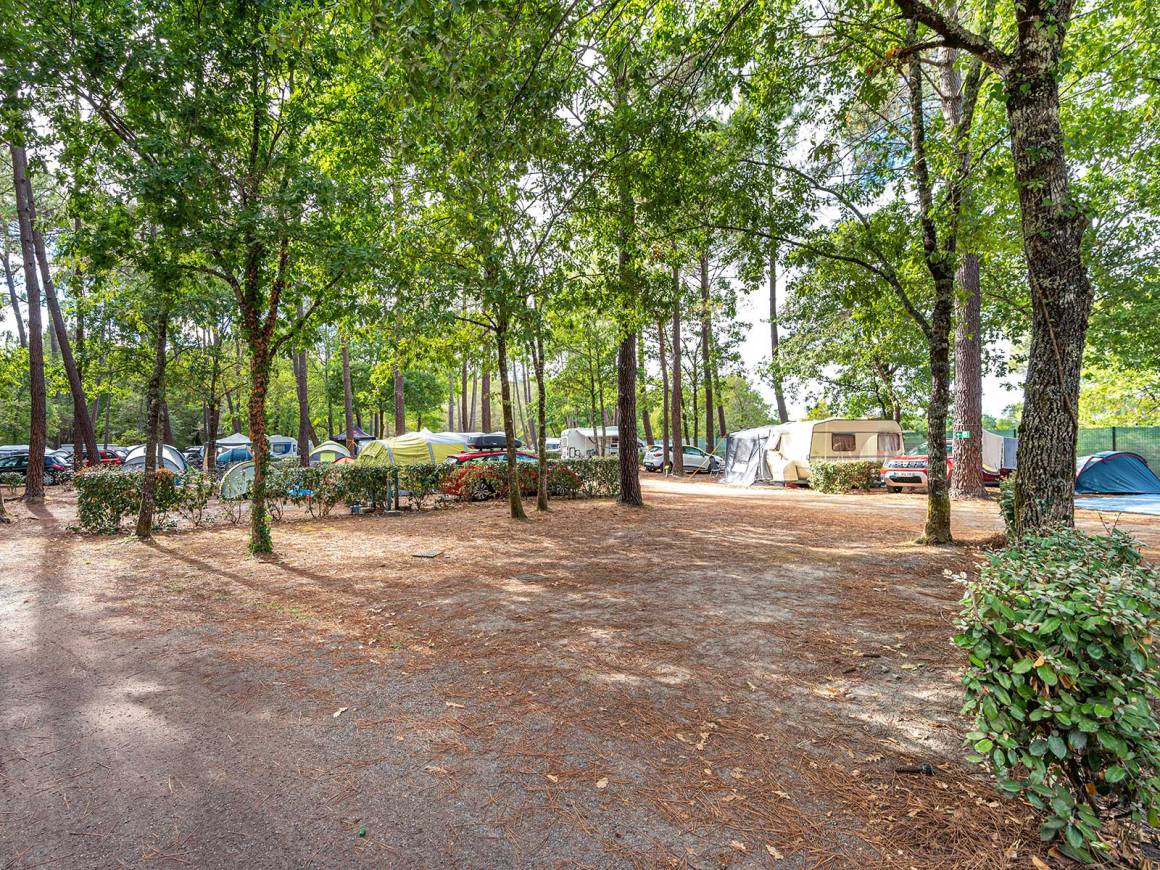 Emplacement camping 3 fleurs - Parentis en Born