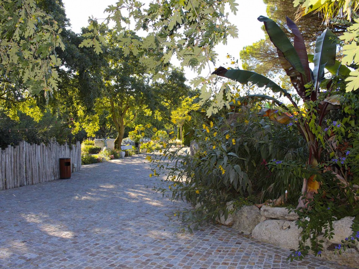 Lugares para visitar en su camping Domaine Les Oréades, en las Landas