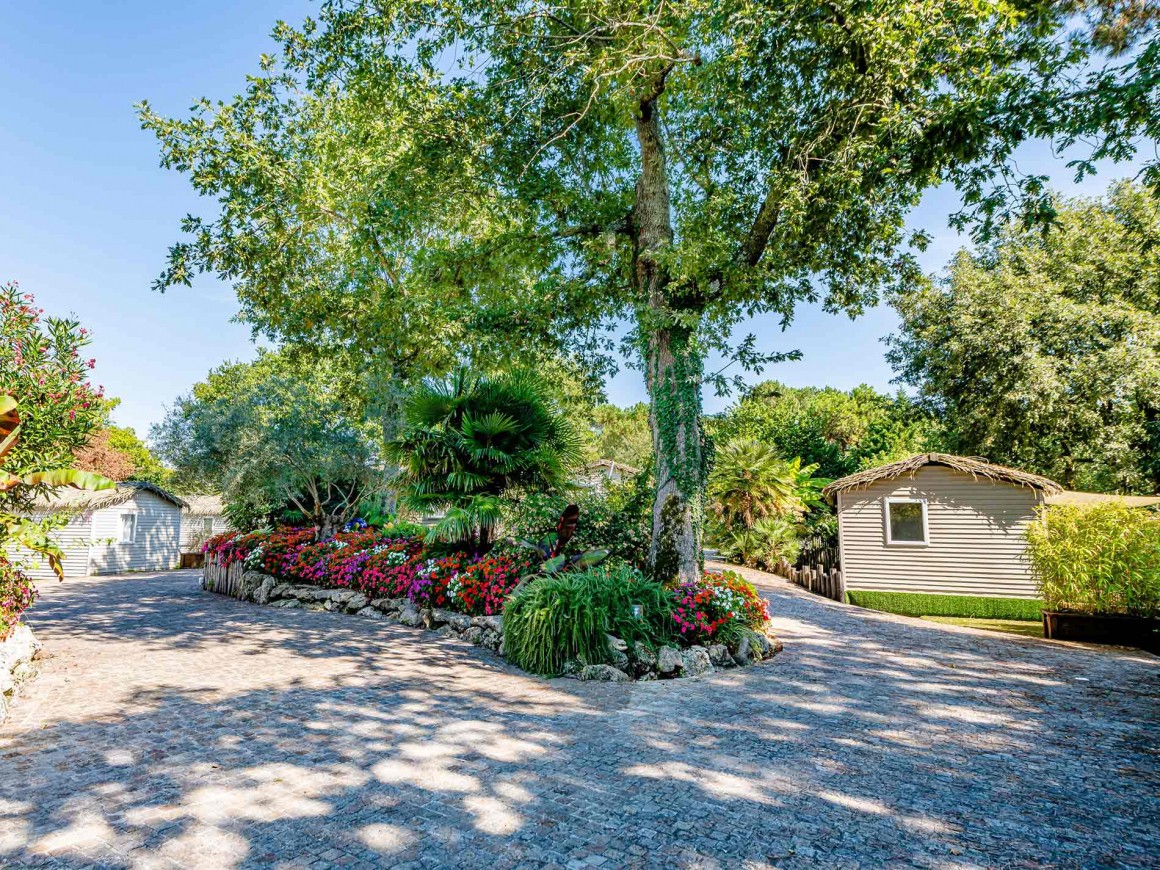 Alle Campingunterkünfte des Yelloh! Village Domaine Les Oréades