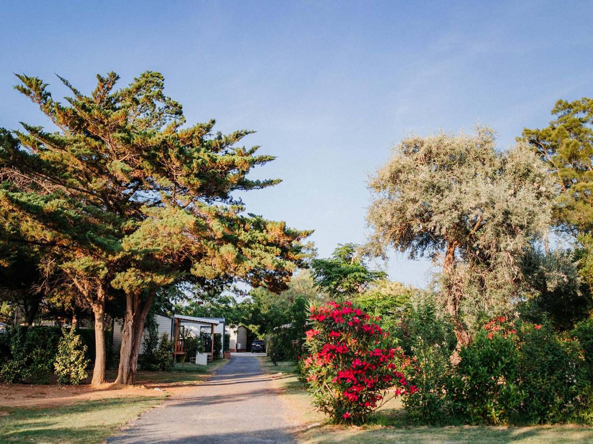 Camping Languedoc-Roussillon L'Oasis et California **** Le Barcarès ...
