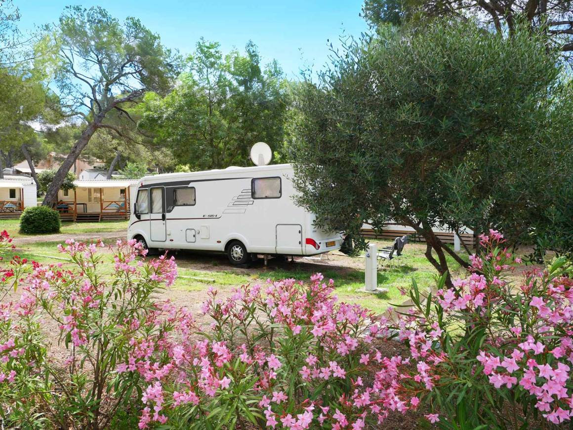 Camping pitches 2 flowers close to the reception - Agay-Saint-Raphaël