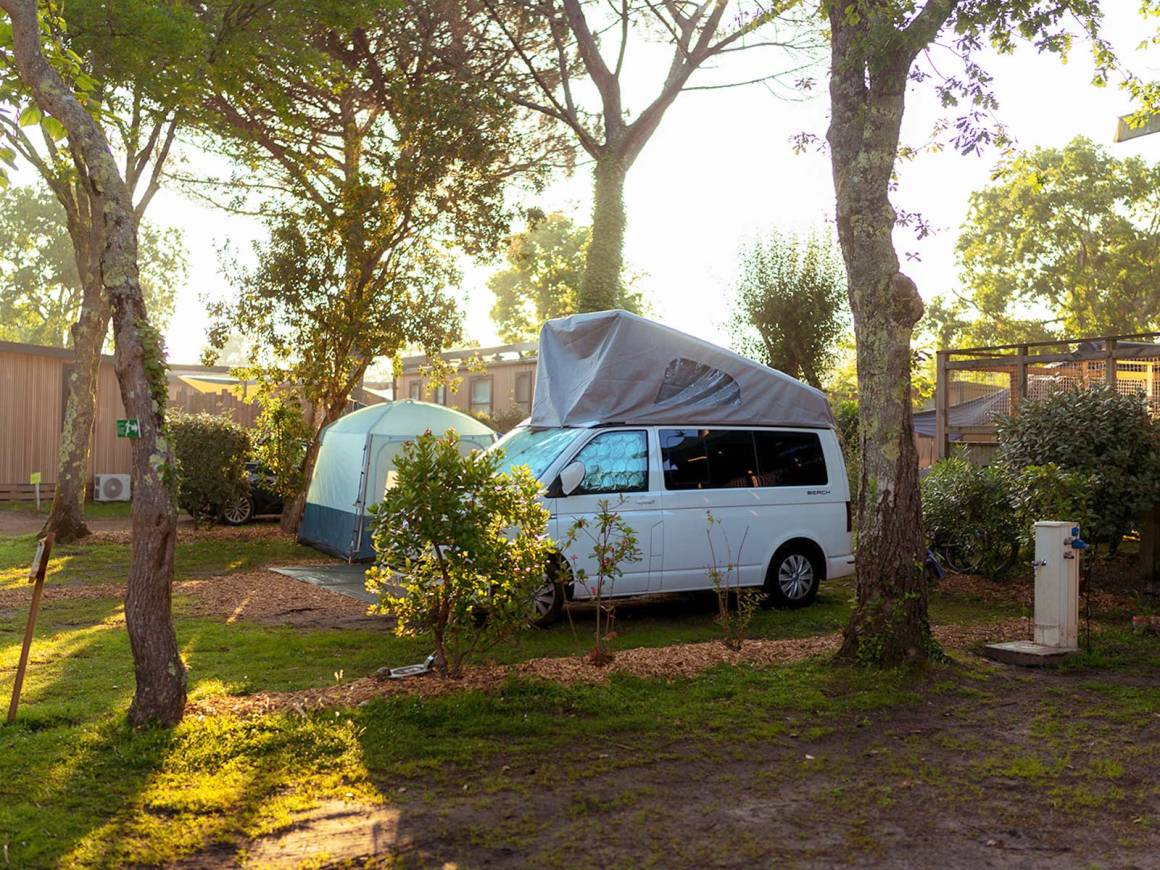 Emplacement camping 2 fleurs - Biscarrosse