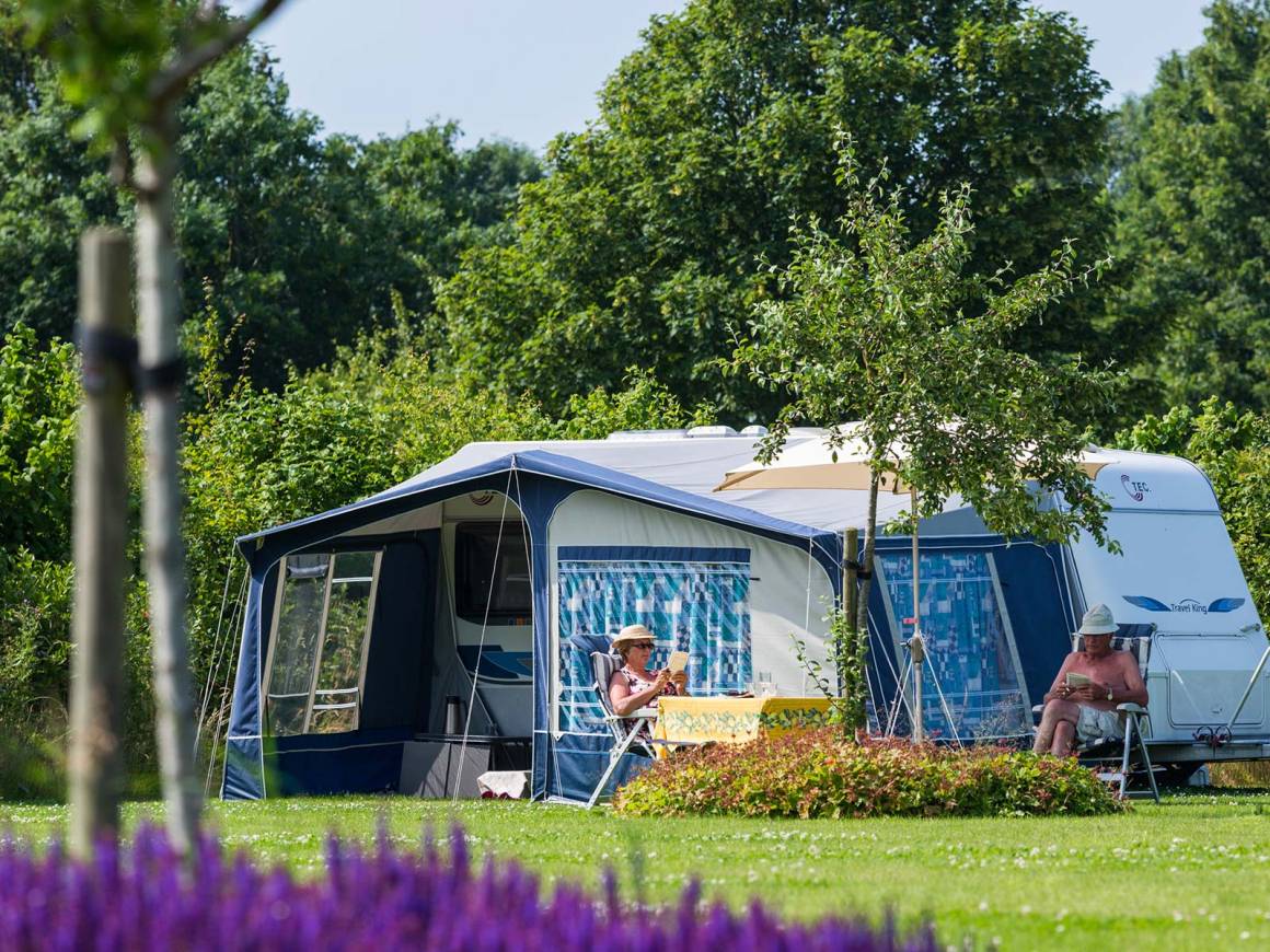 Camping pitches 2 flowers - La Roche-Posay