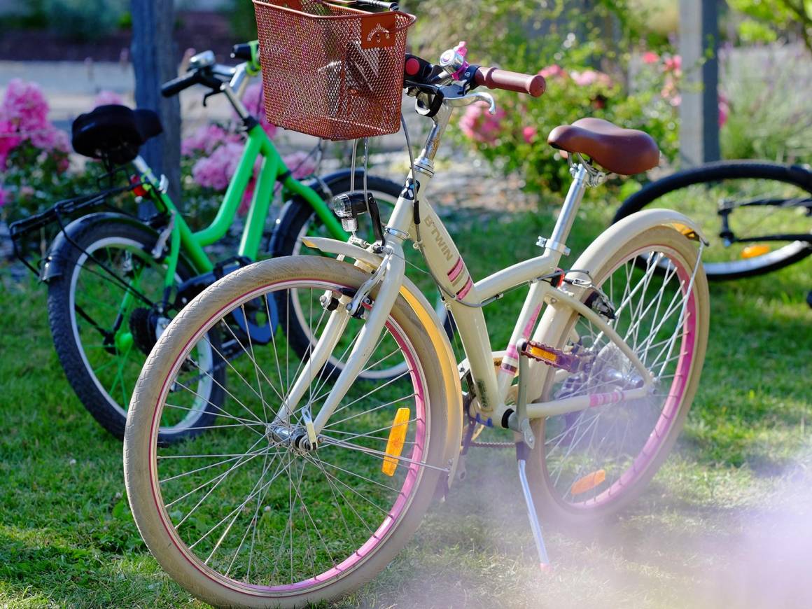 Tailor-made services at the camping La Roche Posay