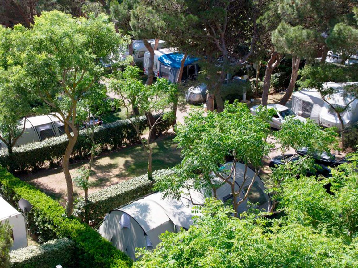 Parcela de camping 2 flores - Canet-Plage-en-Roussillon
