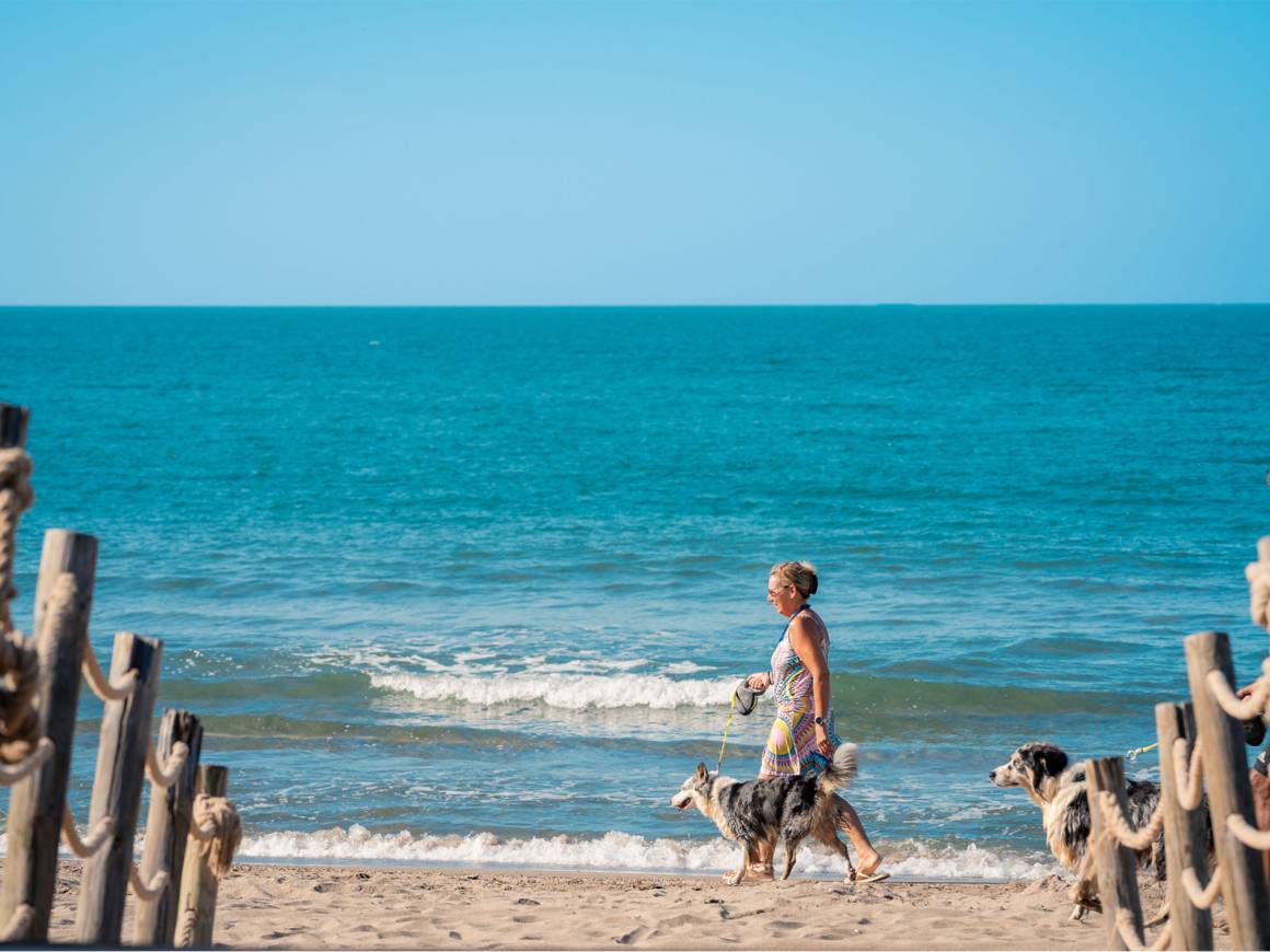 Le Club Farret : Camping mit Schwimmbad