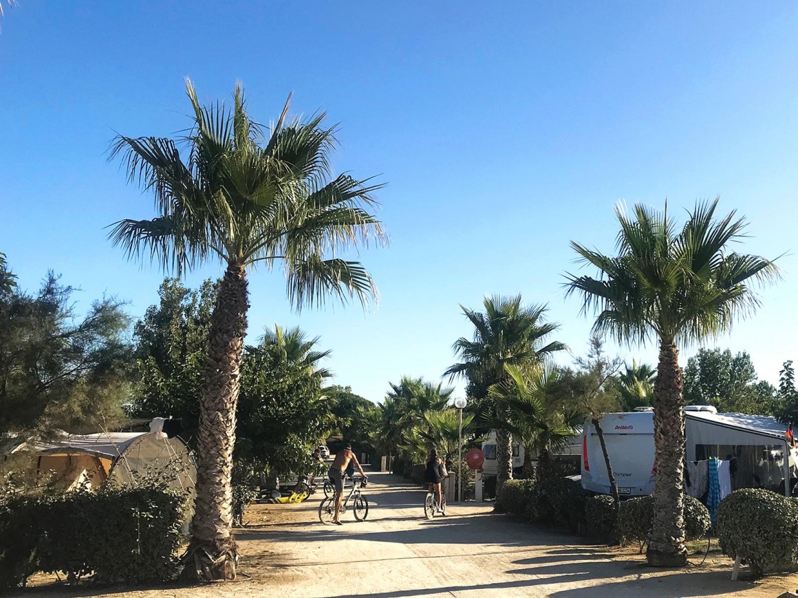 kampeerplaatsen camping 2 bloemen Beach Farret in Vias Plage