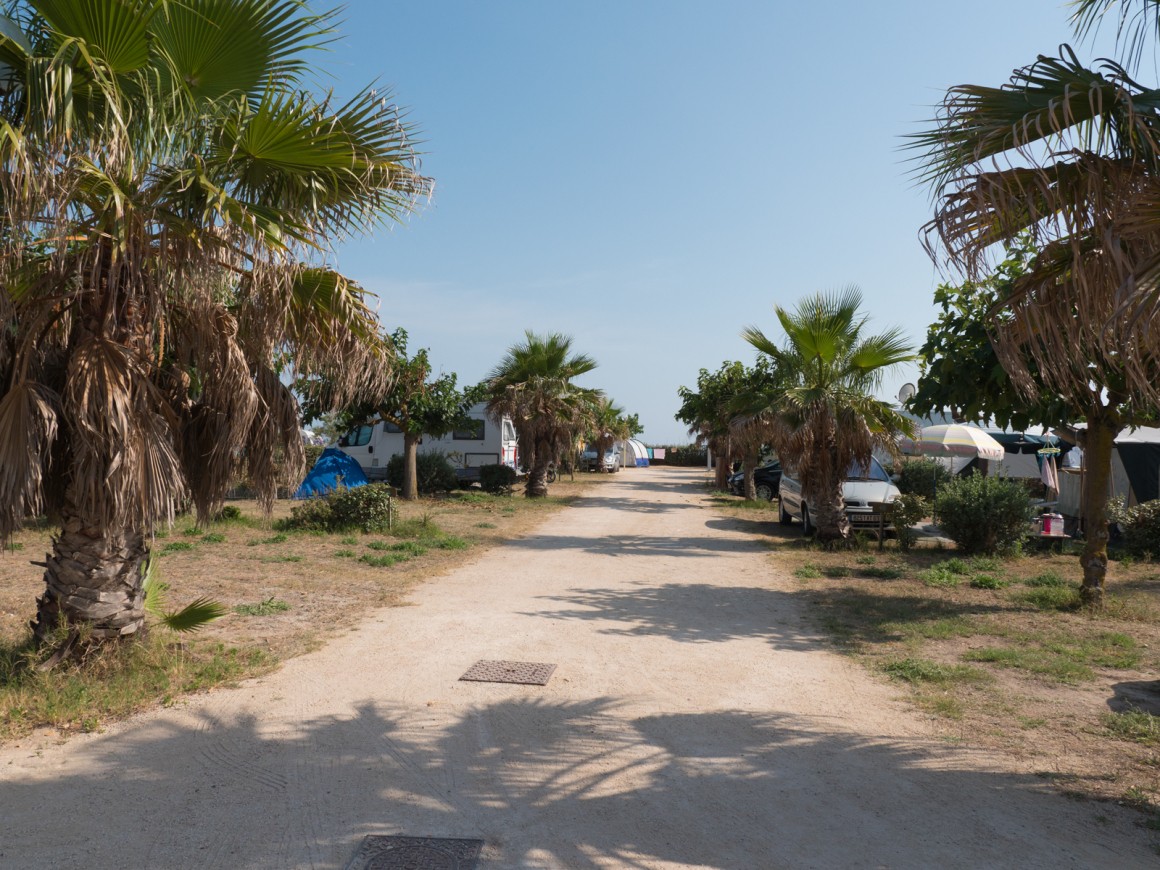 Pitch 2 flowers Beach Farret - Vias Plage
