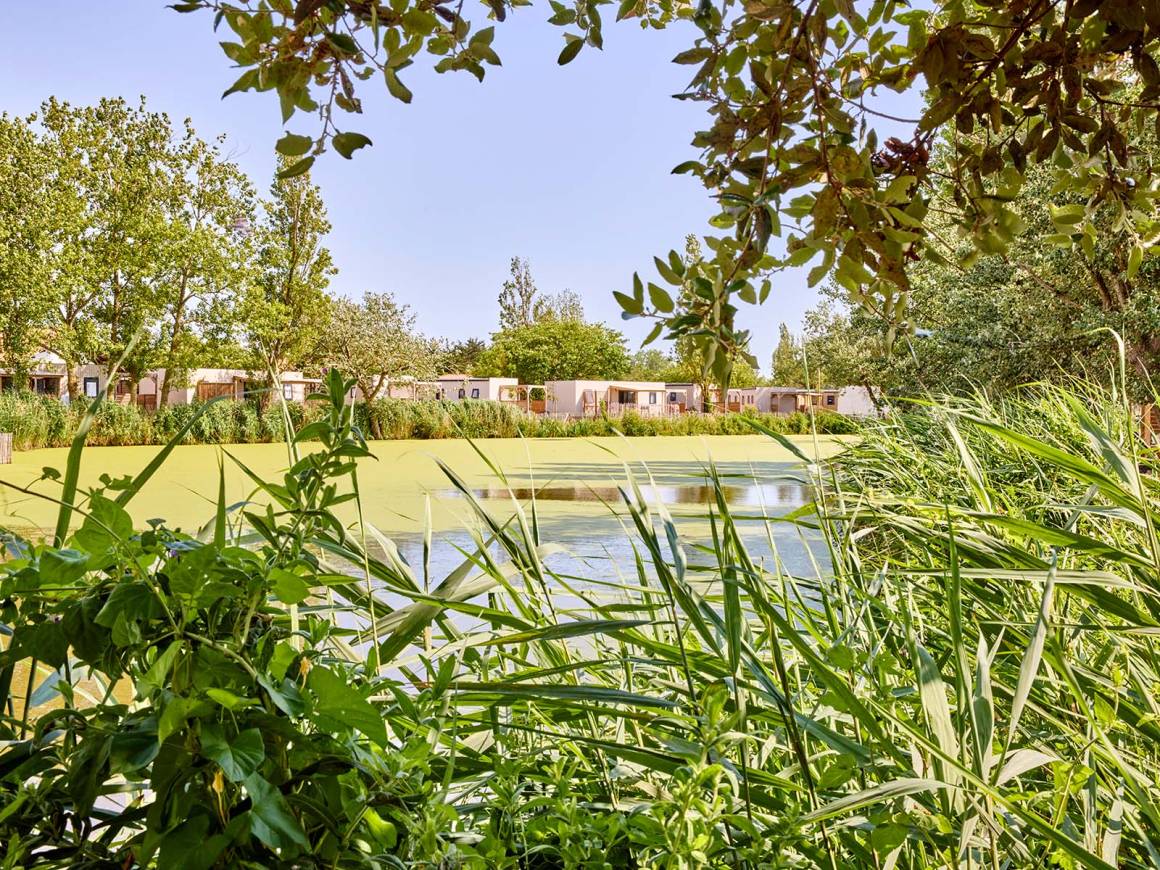 Camping Pays de la Loire Le Jard **** La Tranche-sur-Mer Vendée ...