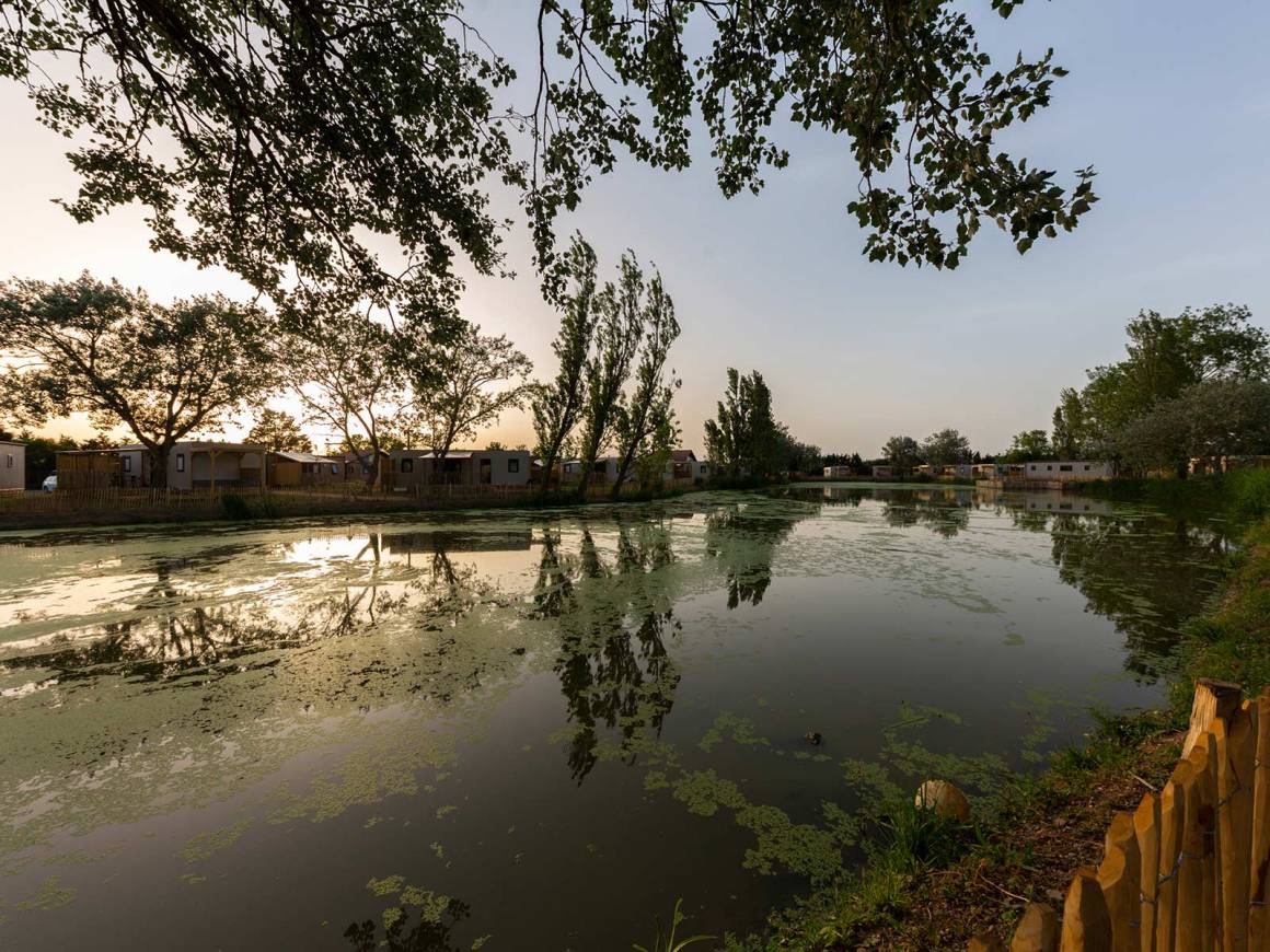 Te ontdekken vanaf camping Le Jard in de Vendée