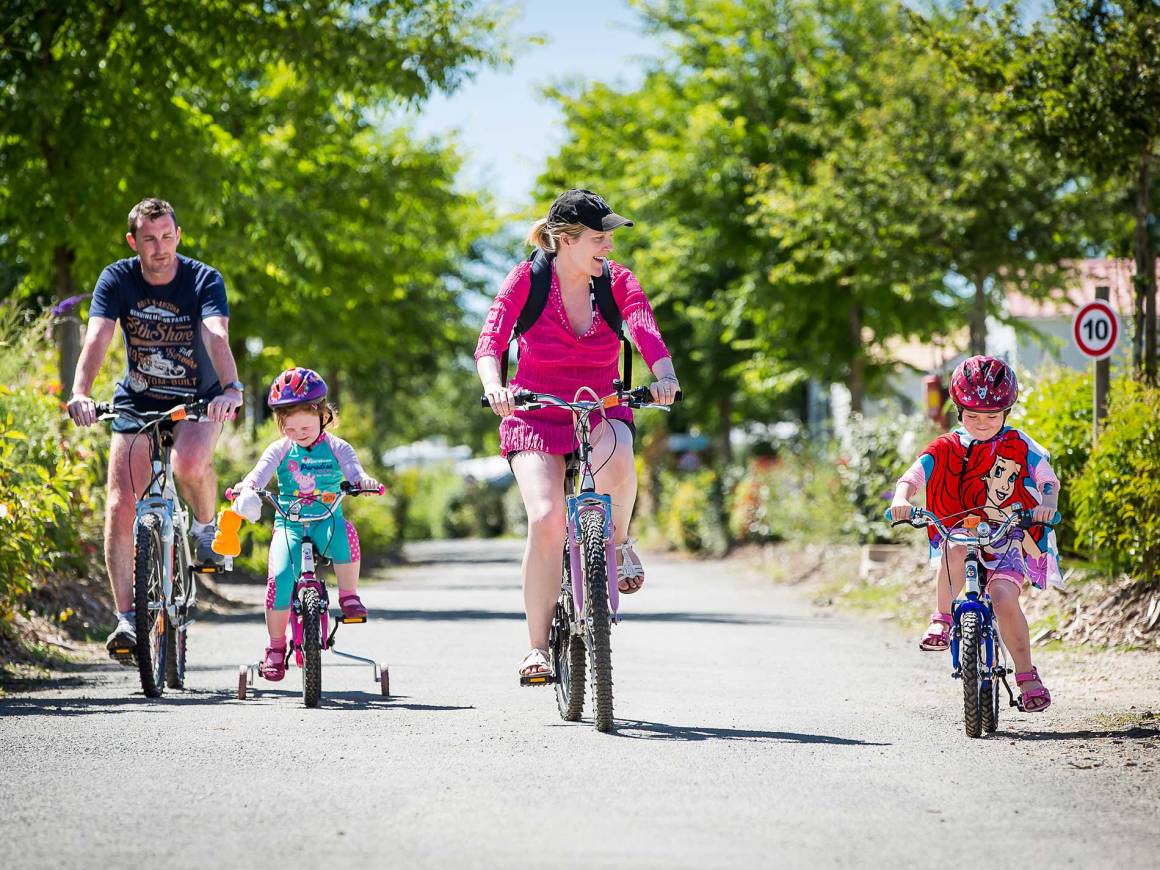 Camping Pays de la Loire Le Pin Parasol ***** La Chapelle Hermier ...