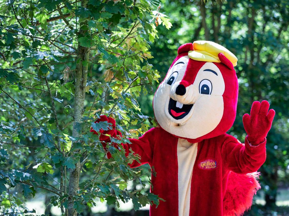 Mobil home 4 Personen 2 Zimmer klimatisiert Premium - La Chapelle Hermier