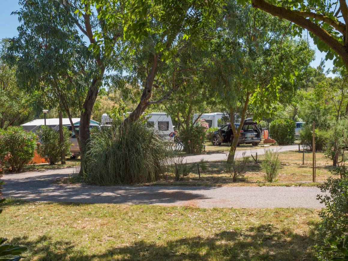 Camping Languedoc-Roussillon Le Pré Catalan ***** Le Barcarès Pyrénées ...