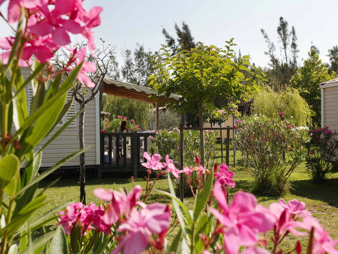 Perla Di Mare**** Yelloh! Village in Corsica