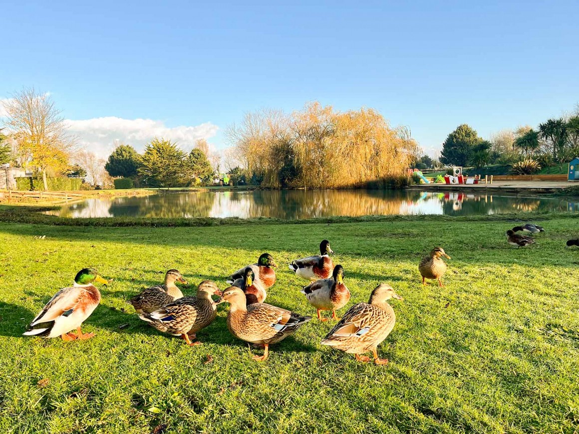 Ihre Ferien im Camping Portland