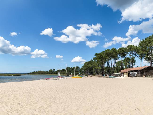Nearby the camping Aquitaine - Au Lac de Biscarrosse, à Parentis en Born